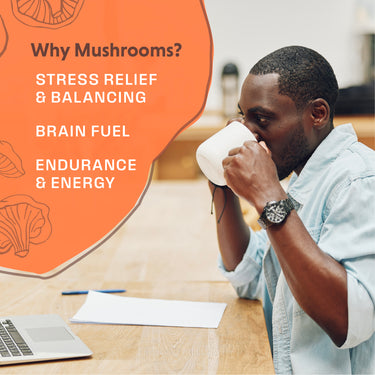 Mushroom Coffee - Full Spectrum – 360 Nutrition