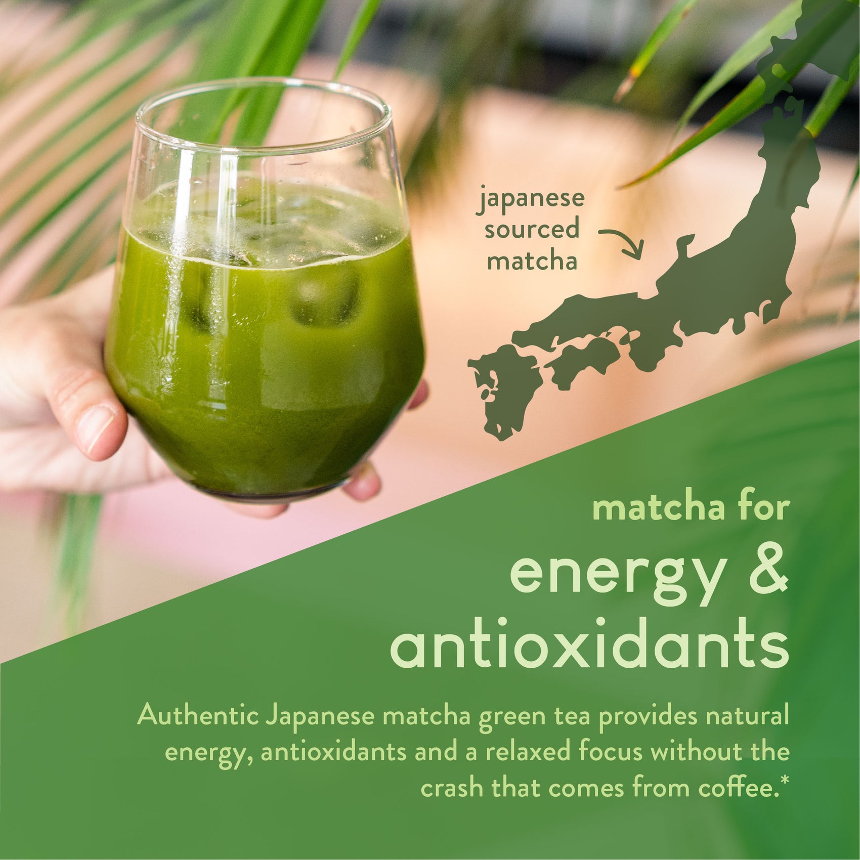 Collagen + Matcha