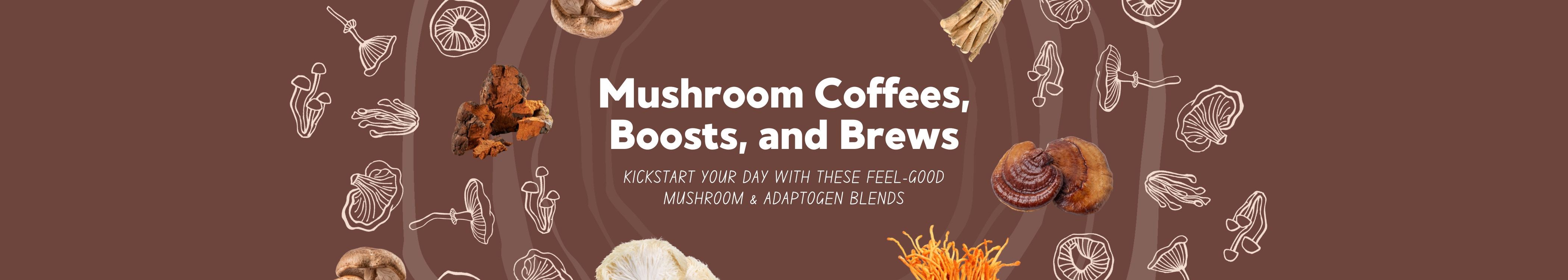 Shroomology – 360 Nutrition