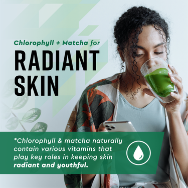 Chlorophyll + Matcha Drops – 360 Nutrition