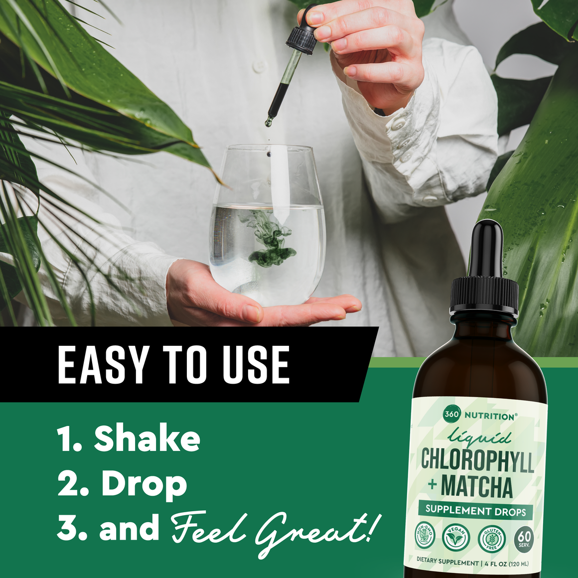 Chlorophyll + Matcha Drops – 360 Nutrition